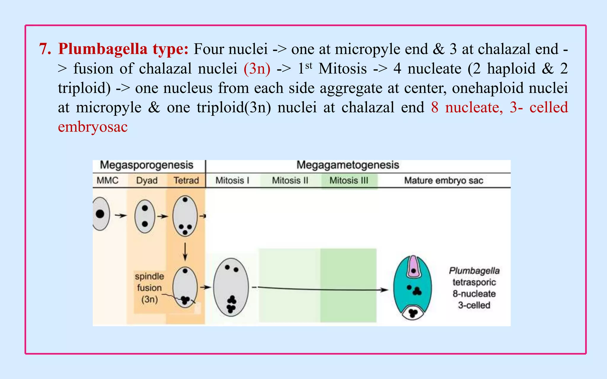 Megasporogenesis types and development of female gametophyte | PPTX