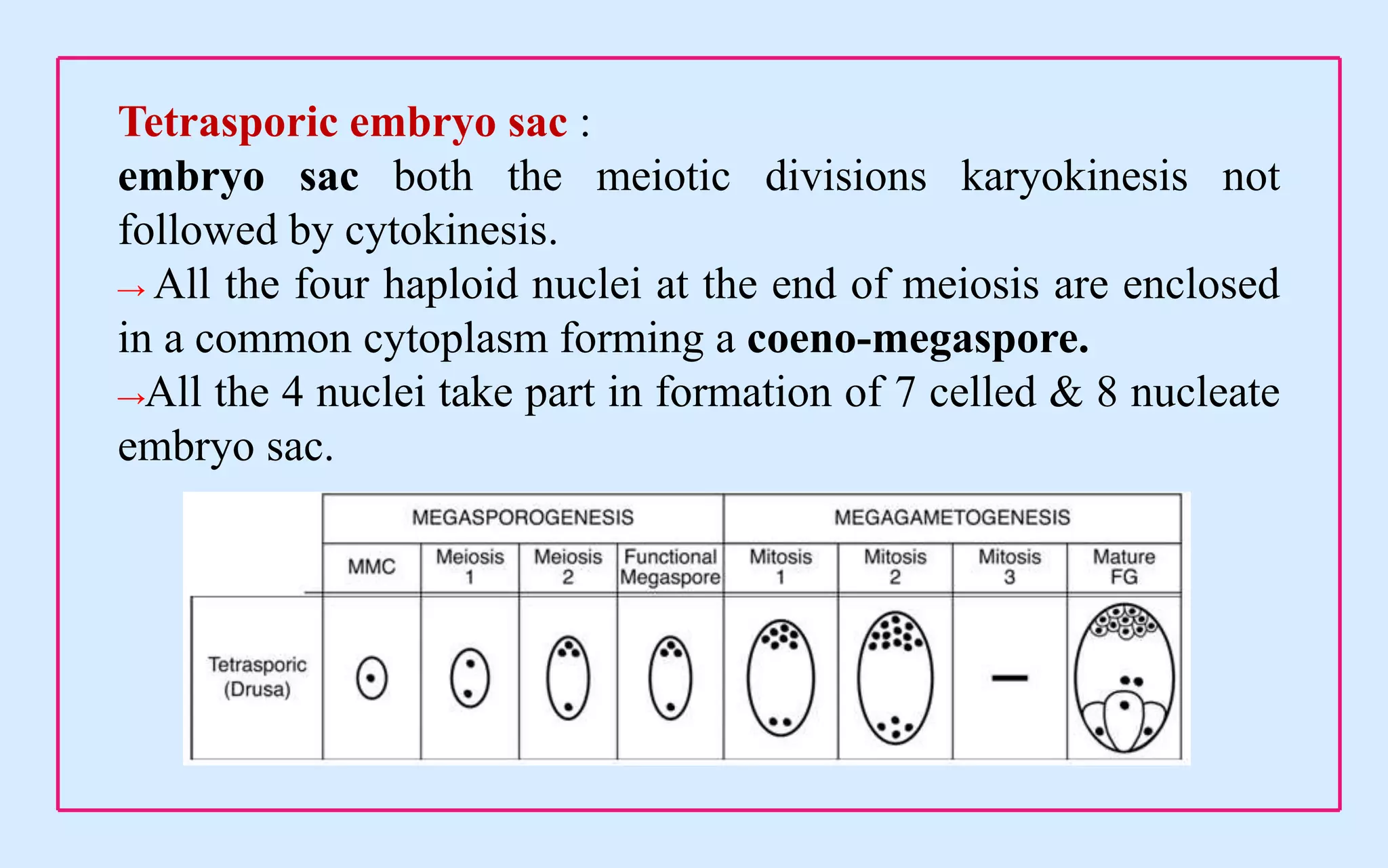 Megasporogenesis types and development of female gametophyte | PPTX