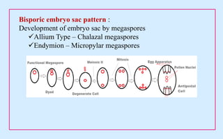 Megasporogenesis types and development of female gametophyte | PPTX