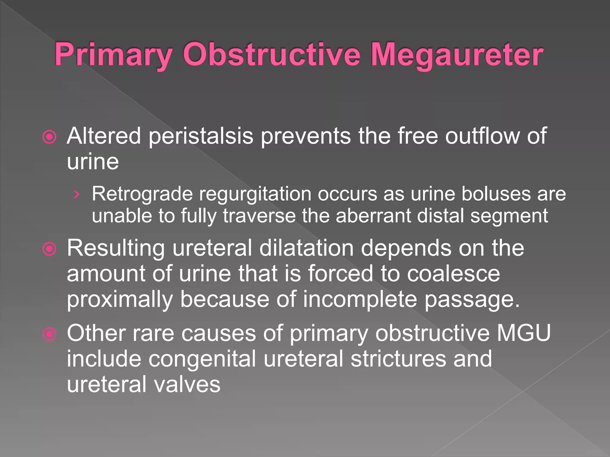 Megaureter ppt. Types, pathophysiology, evaluation and management. | PPTX