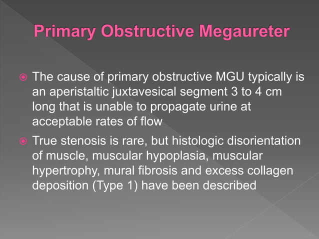 Megaureter ppt. Types, pathophysiology, evaluation and management ...