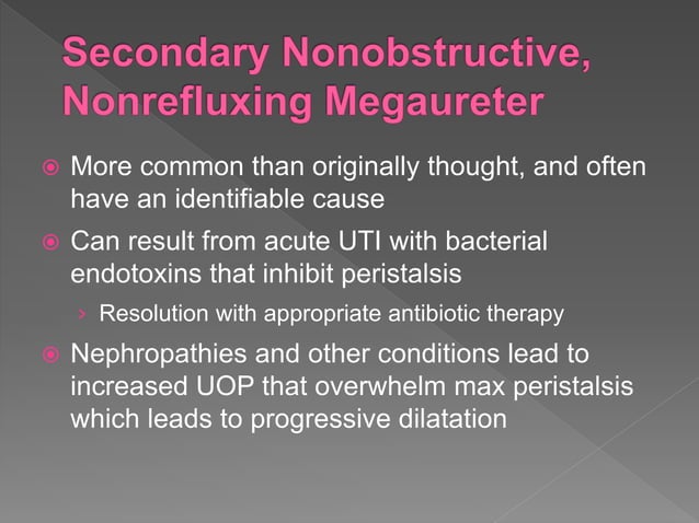 Megaureter ppt. Types, pathophysiology, evaluation and management ...