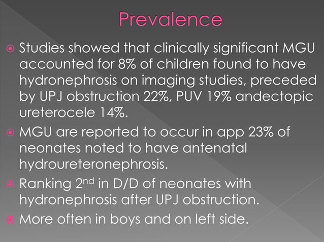 Megaureter ppt. Types, pathophysiology, evaluation and management ...