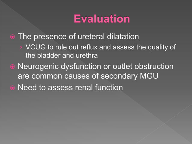 Megaureter ppt. Types, pathophysiology, evaluation and management ...