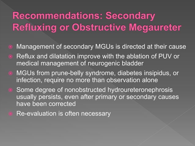 Megaureter ppt. Types, pathophysiology, evaluation and management ...