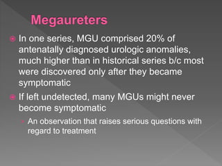 Megaureter ppt. Types, pathophysiology, evaluation and management. | PPTX