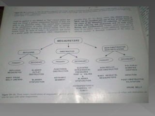 Megaureter ppt. Types, pathophysiology, evaluation and management. | PPTX