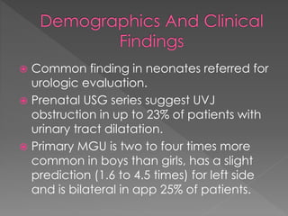 Megaureter ppt. Types, pathophysiology, evaluation and management. | PPTX