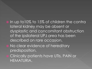 Megaureter ppt. Types, pathophysiology, evaluation and management. | PPTX