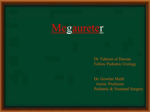 Megaureter | PPTX | Digestive Disorders | Diseases and Conditions