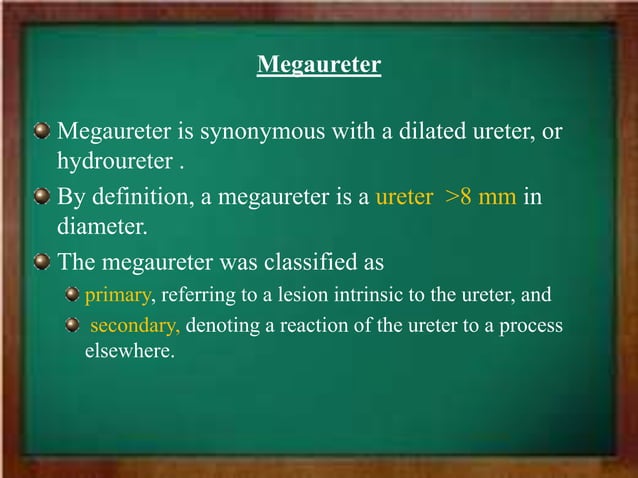 Megaureter | PPTX | Digestive Disorders | Diseases and Conditions