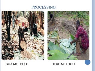 production strategy Of cadbury | PPTX