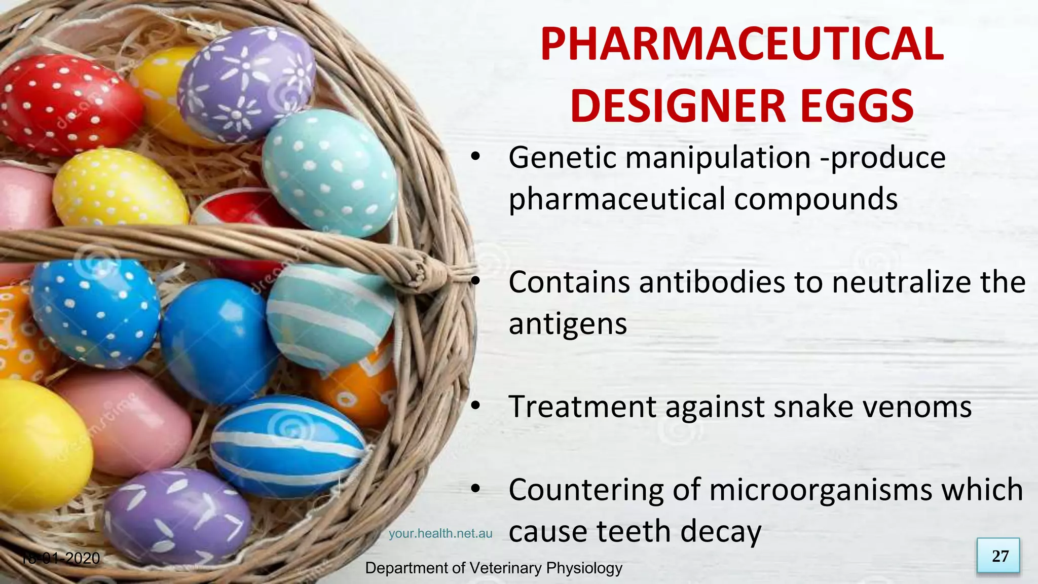 DESIGNER EGGS & THEIR MARKETABILITY | PPTX