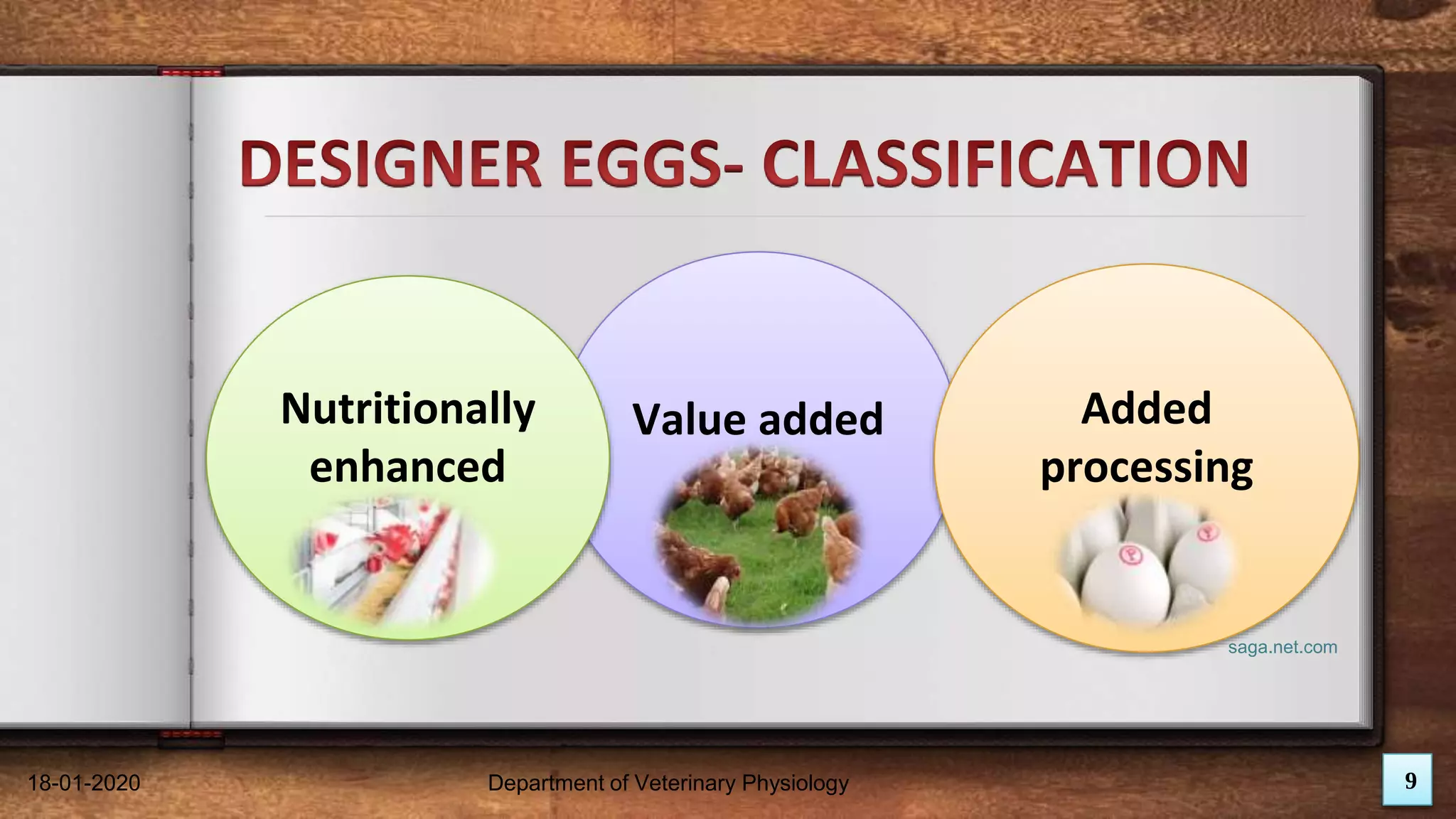 DESIGNER EGGS & THEIR MARKETABILITY | PPTX