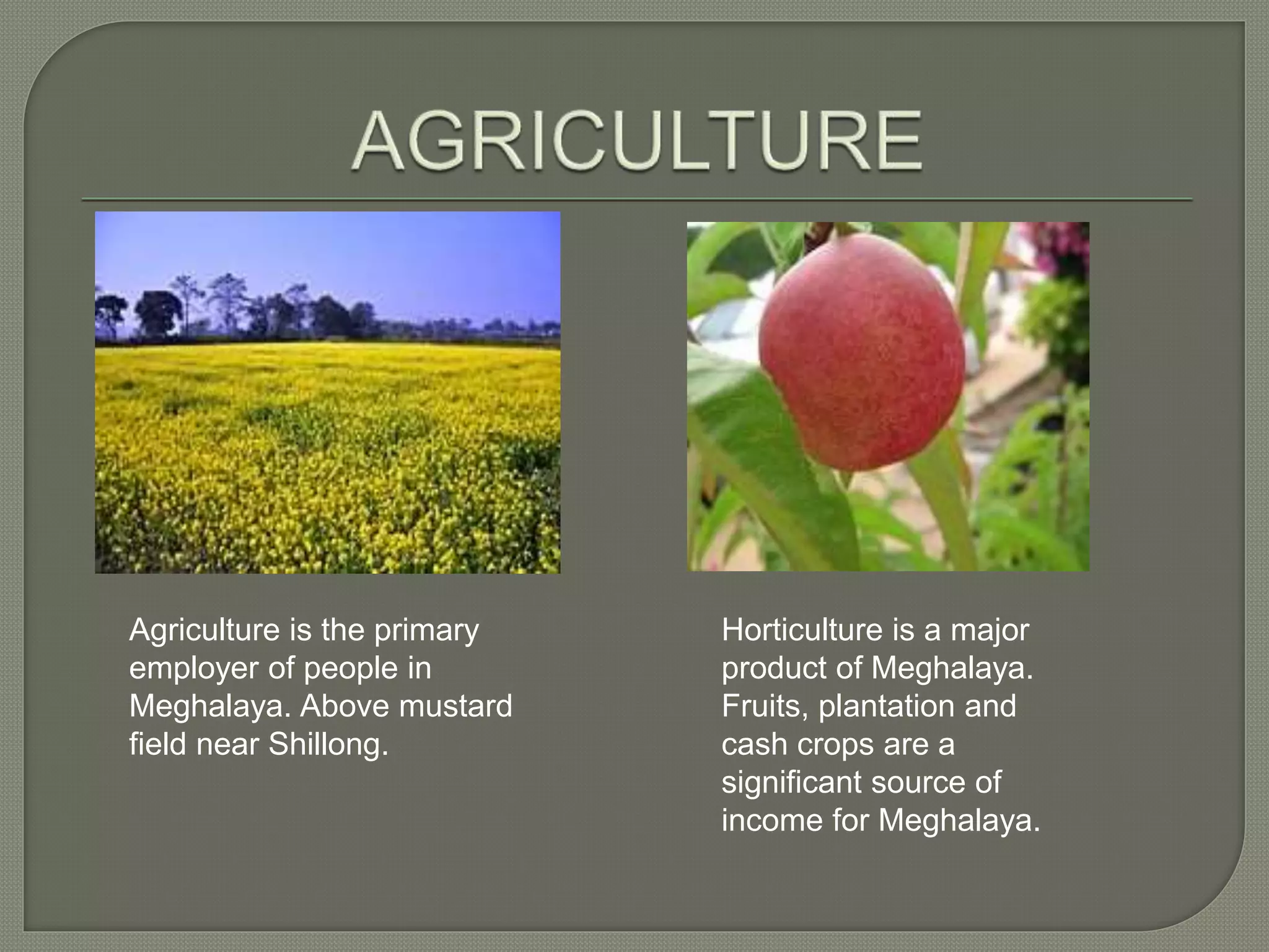 Meghalaya ppt | PPTX