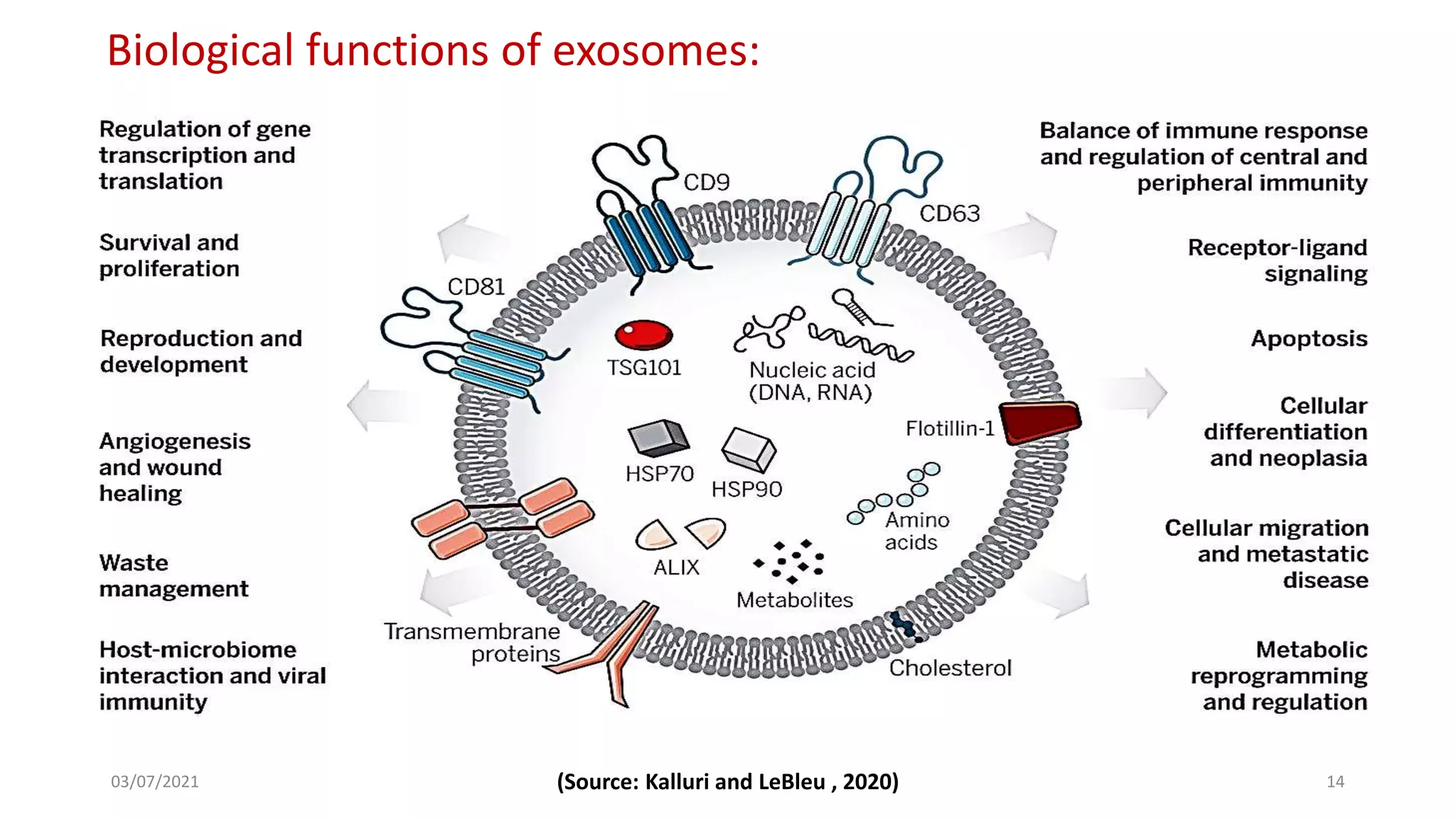 Exosomes -power point presentation | PPTX