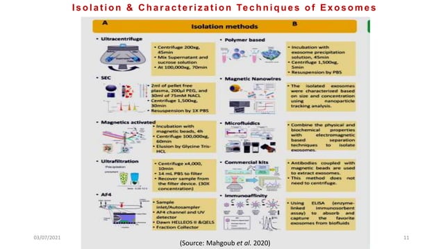 Exosomes -power point presentation | PPTX | Biological Sciences | Science