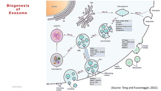 Exosomes -power point presentation | PPTX