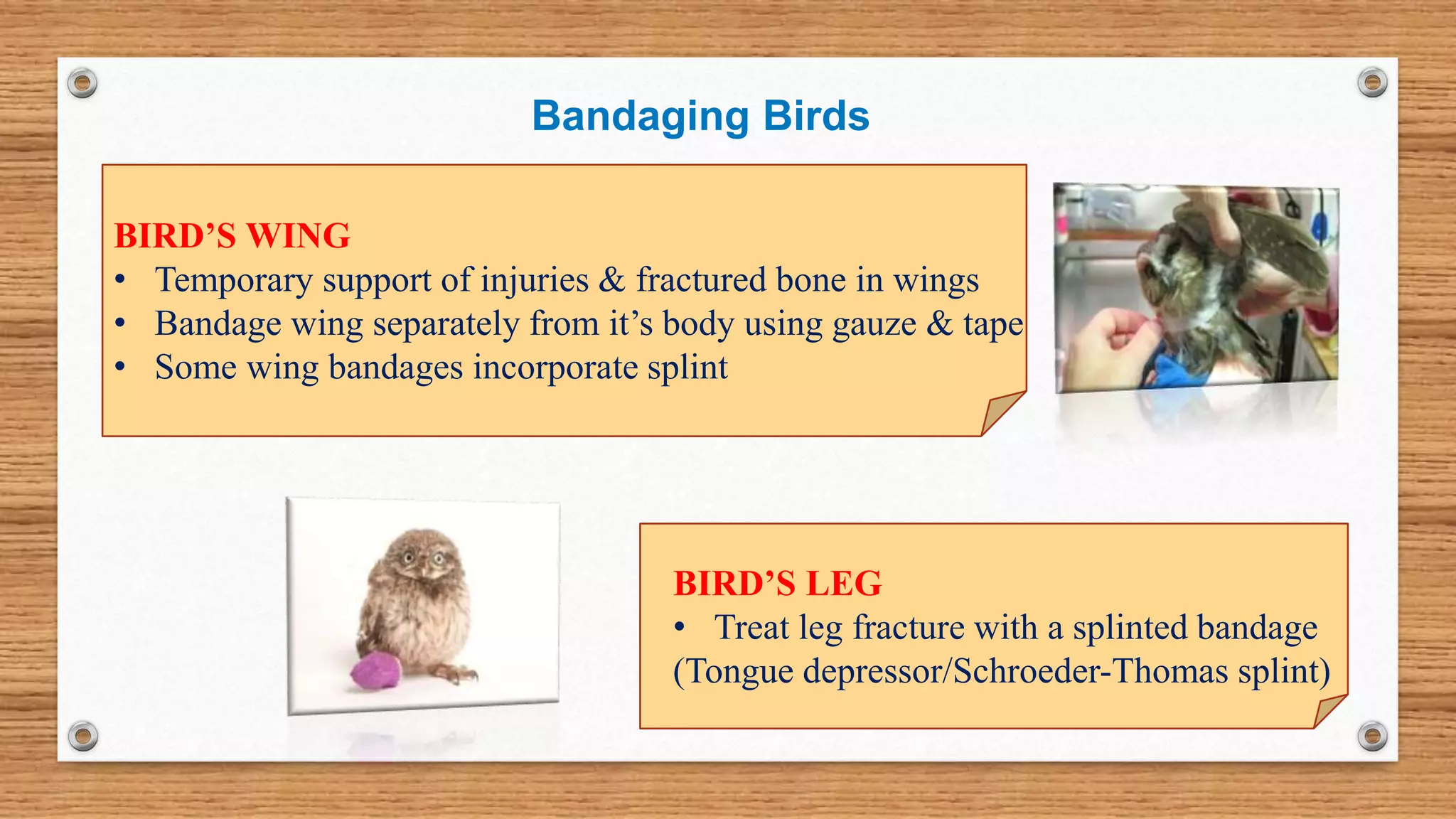 BANDAGING TECHNIQUES | PPTX
