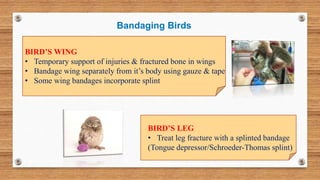 BANDAGING TECHNIQUES | PPTX