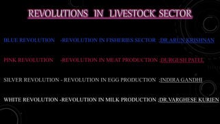 revolutions in live stock sector | PPTX
