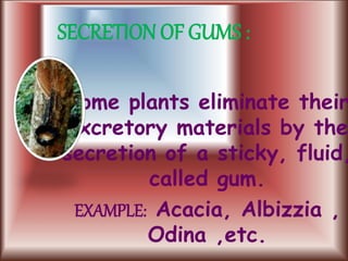 Excretion in plants | PPTX | Gardening | Home & Garden