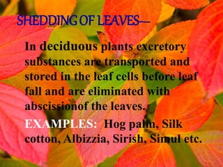 Excretion in plants | PPTX