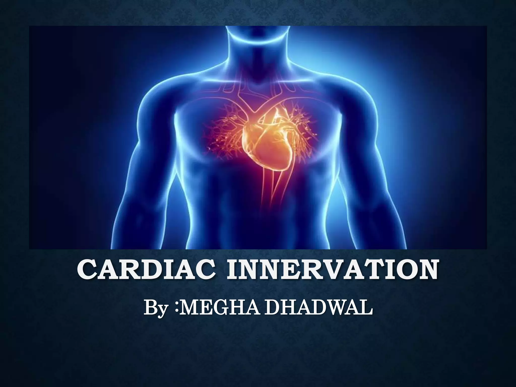 Heart Nerve Anatomy Cardiac Innervation | PPTX