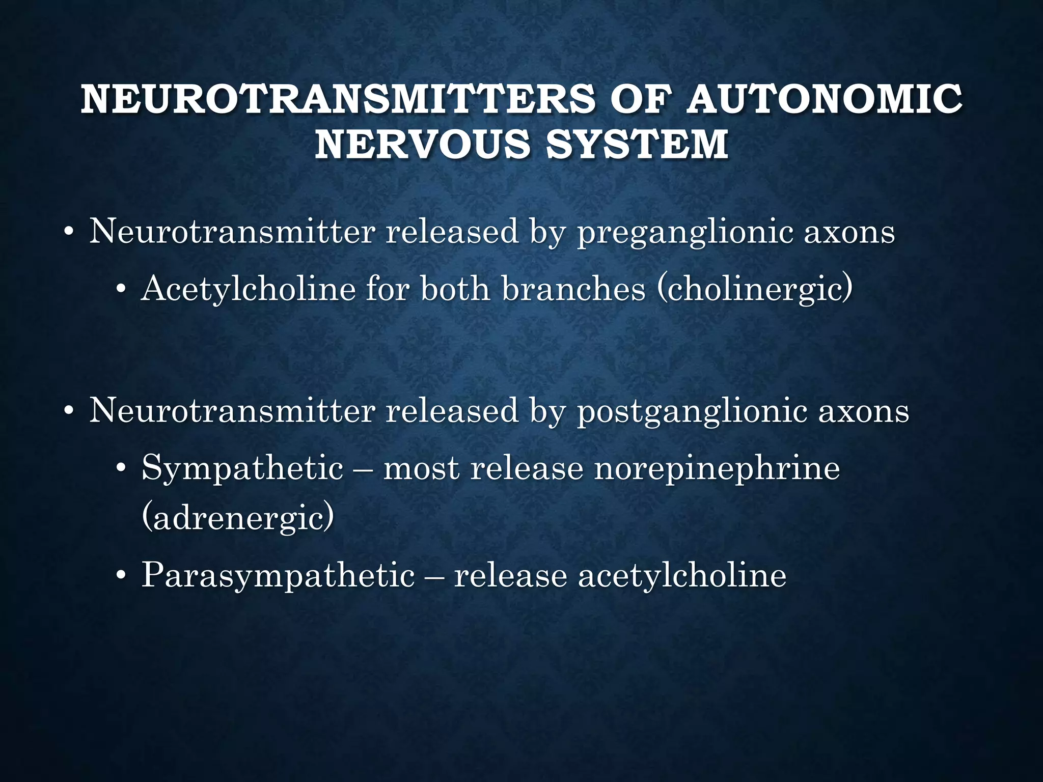 Heart Nerve Anatomy Cardiac Innervation | PPTX