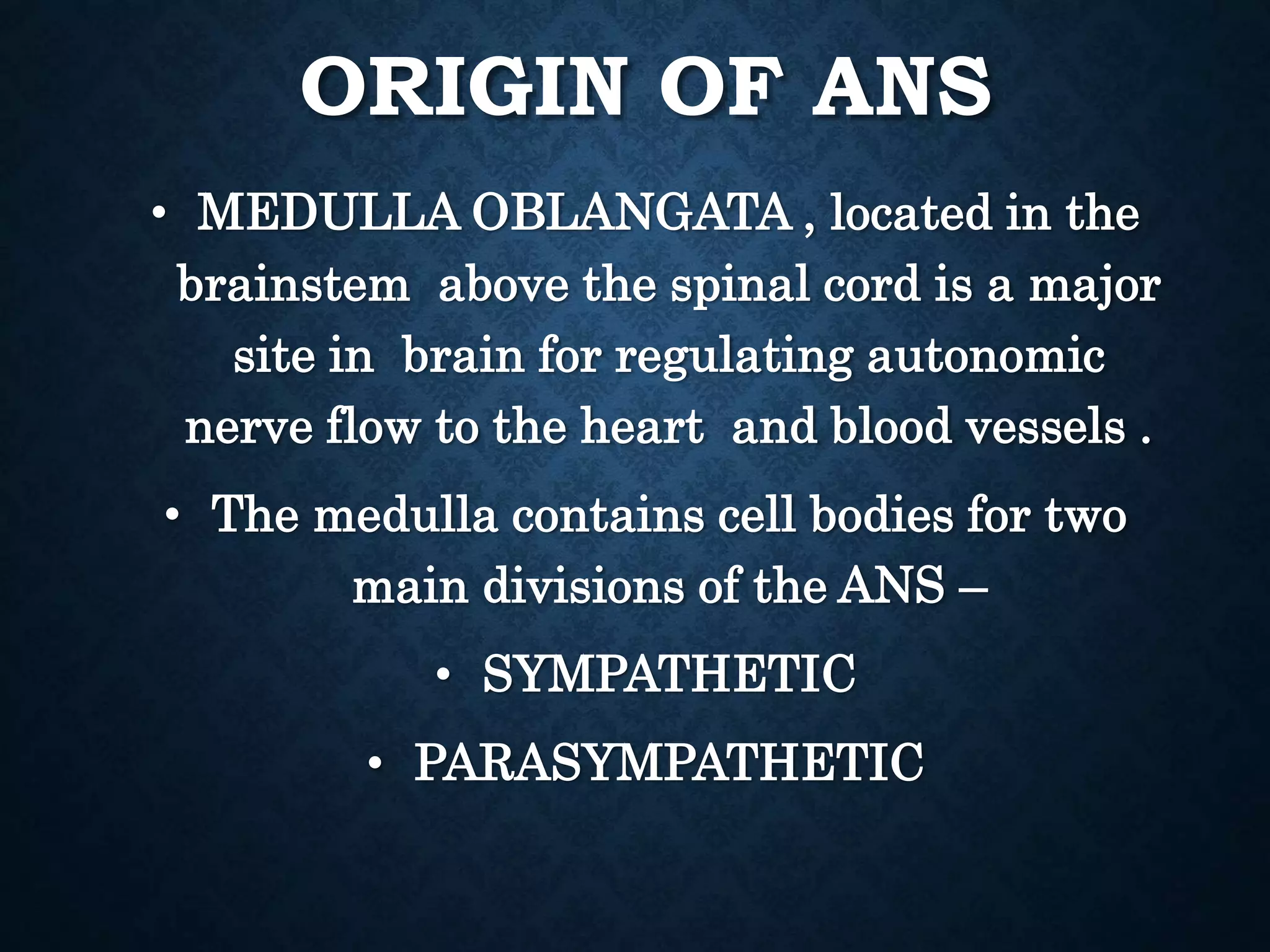 Heart Nerve Anatomy Cardiac Innervation | PPTX