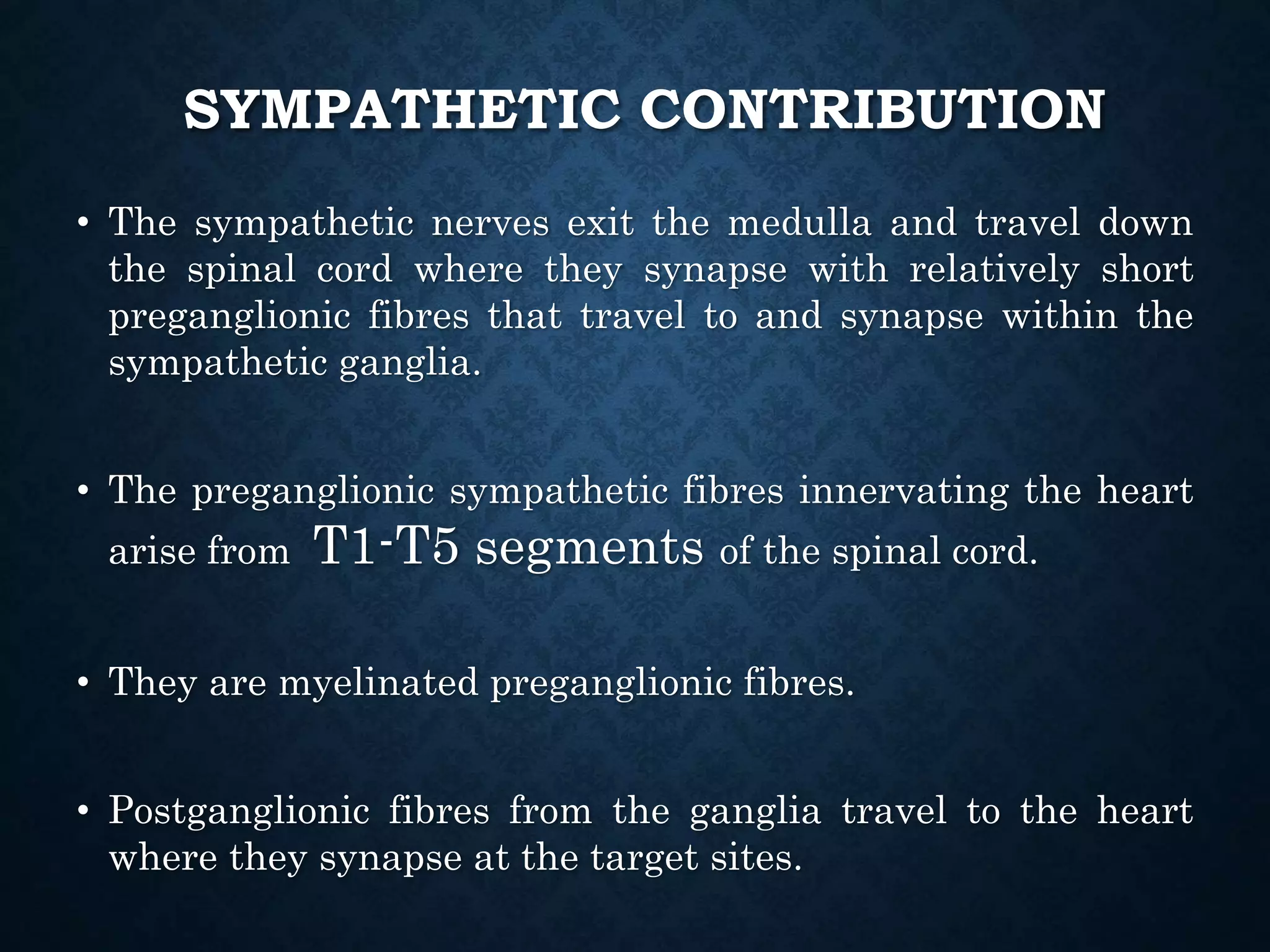 Heart Nerve Anatomy Cardiac Innervation | PPTX
