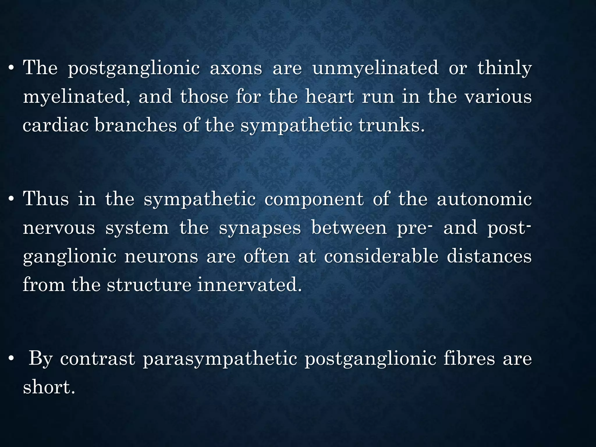 Heart Nerve Anatomy Cardiac Innervation | PPTX