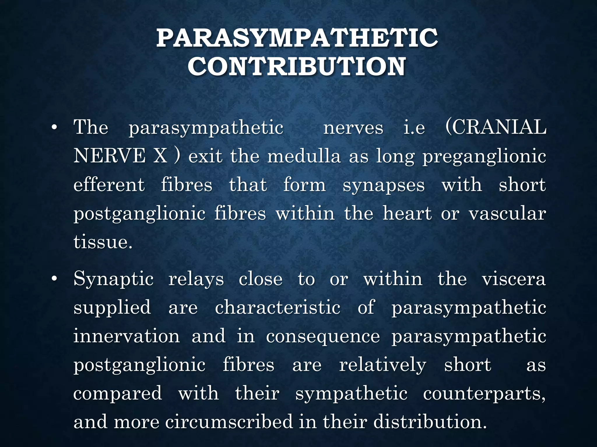 Heart Nerve Anatomy Cardiac Innervation | PPTX