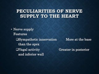 Heart Nerve Anatomy Cardiac Innervation | PPTX