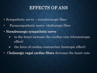 Heart Nerve Anatomy Cardiac Innervation | PPTX