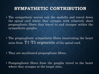 Heart Nerve Anatomy Cardiac Innervation | PPTX