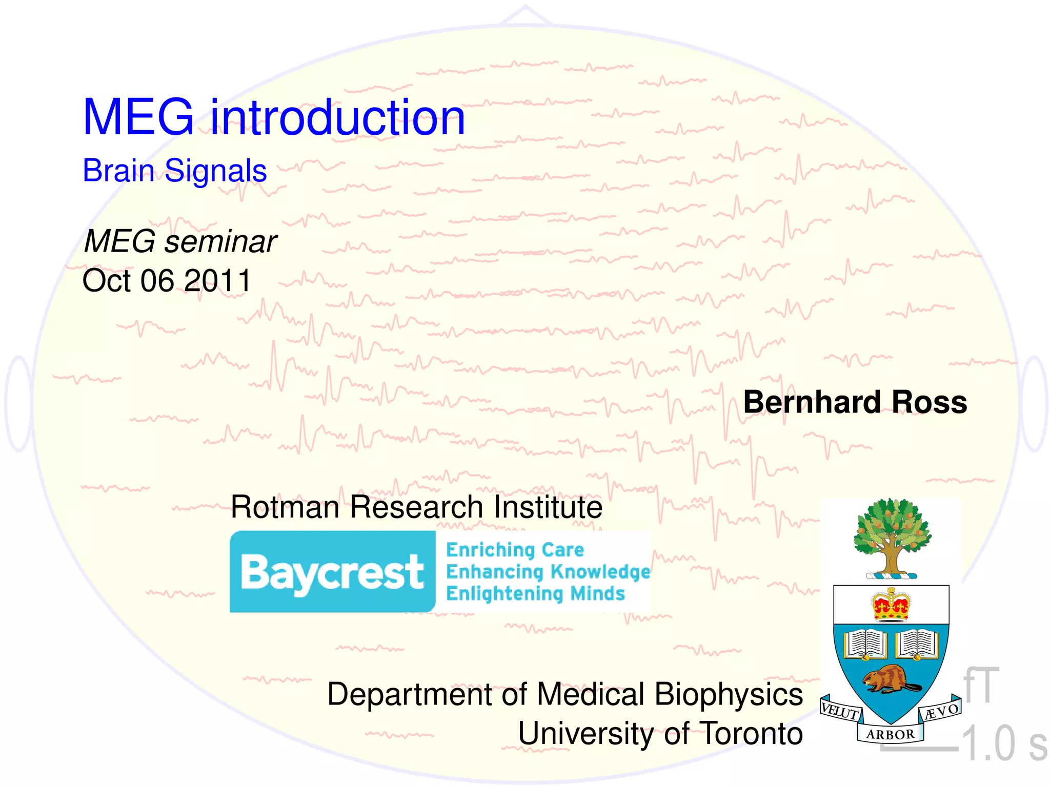 MEG recording of brain signals | PDF