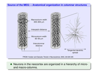 MEG recording of brain signals | PDF