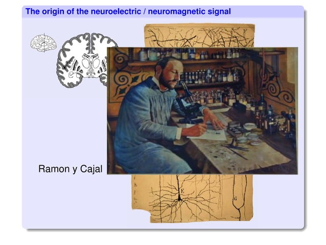 MEG recording of brain signals | PDF