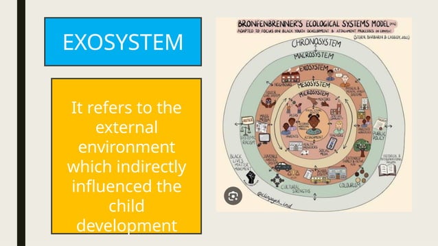Presentation on Ecological Theory of Bronfenbrenner | PPT