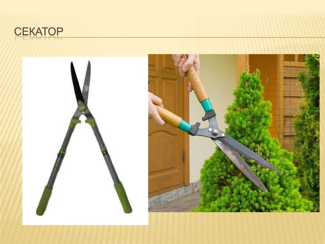 Mehanikjuulalt lekts-6 | PPT