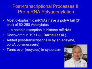 Mehanism of post Transcription -Cap PolyA kHZ.ppt