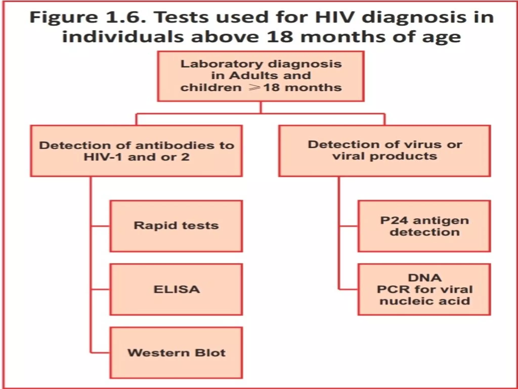 HIV Testing | PPT