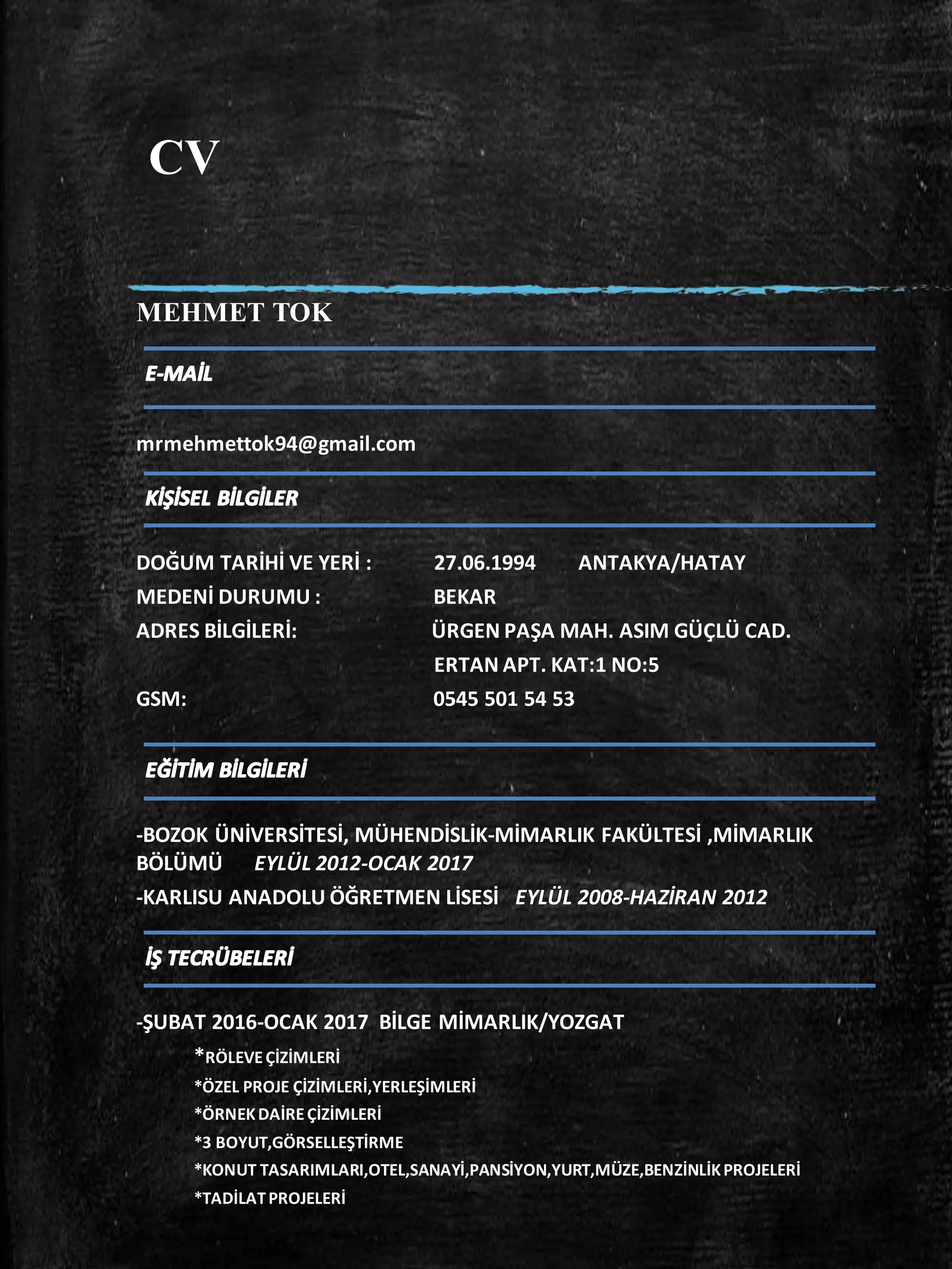 Mehmet TOK portföy cv | DOCX