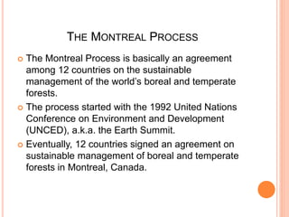 Sayeed Mehmood's Presentation on Forest Certification | PPTX