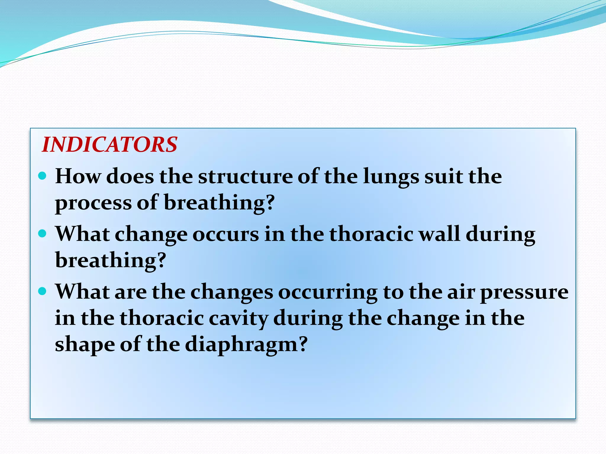 The human respiratory system | PPT
