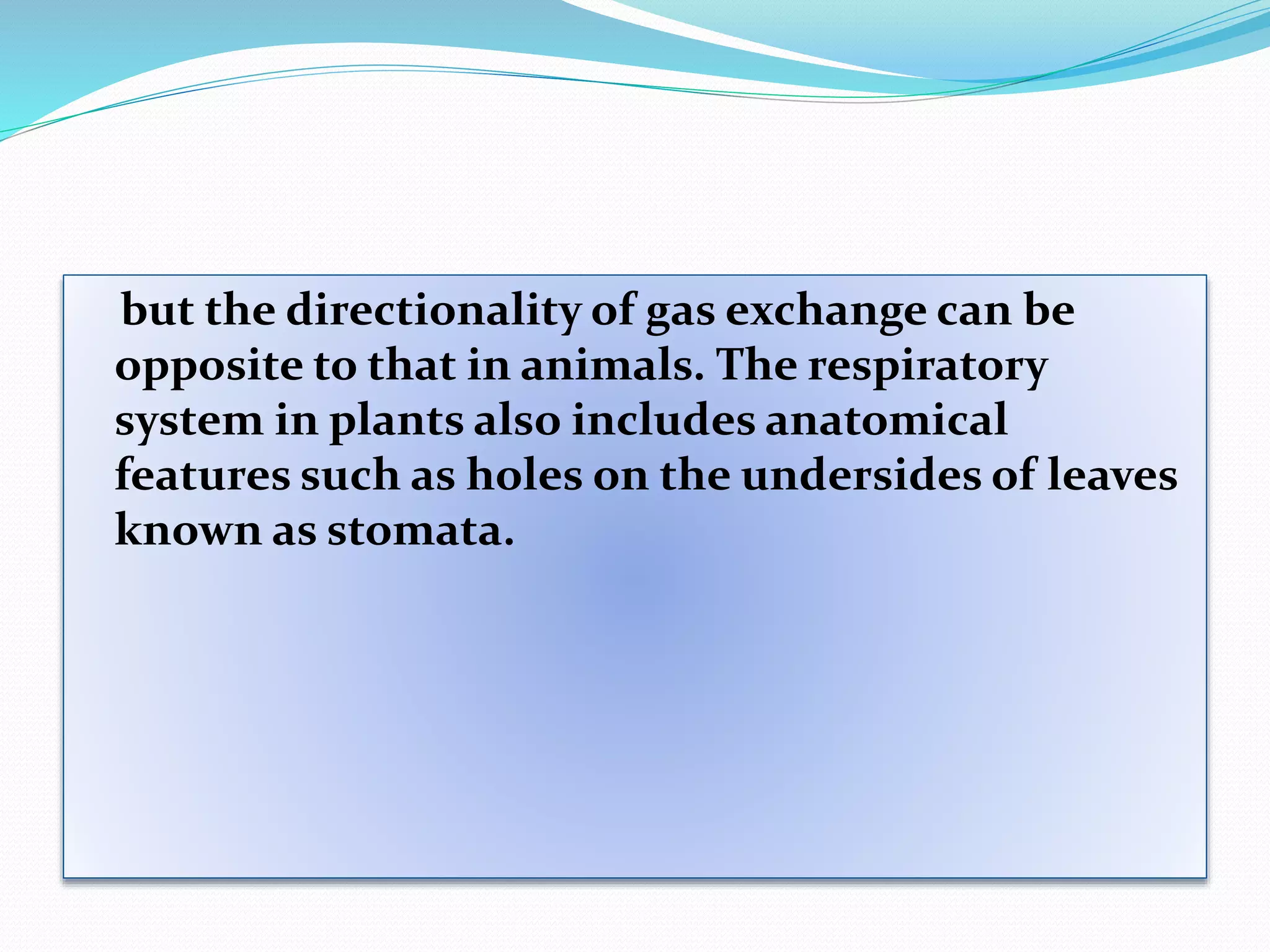 The human respiratory system | PPT