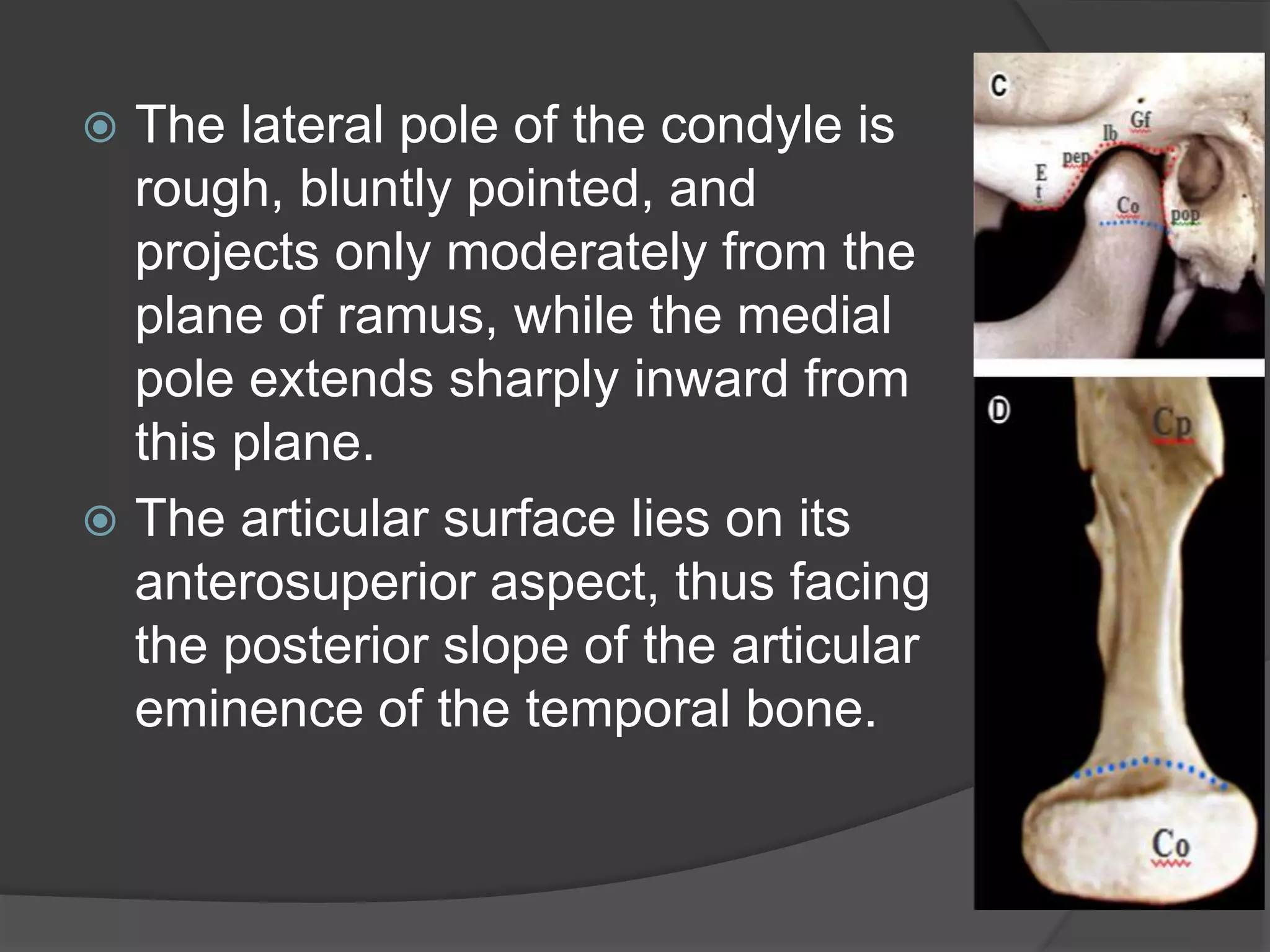 Anatomy of Temporomandibular Joint | PPSX