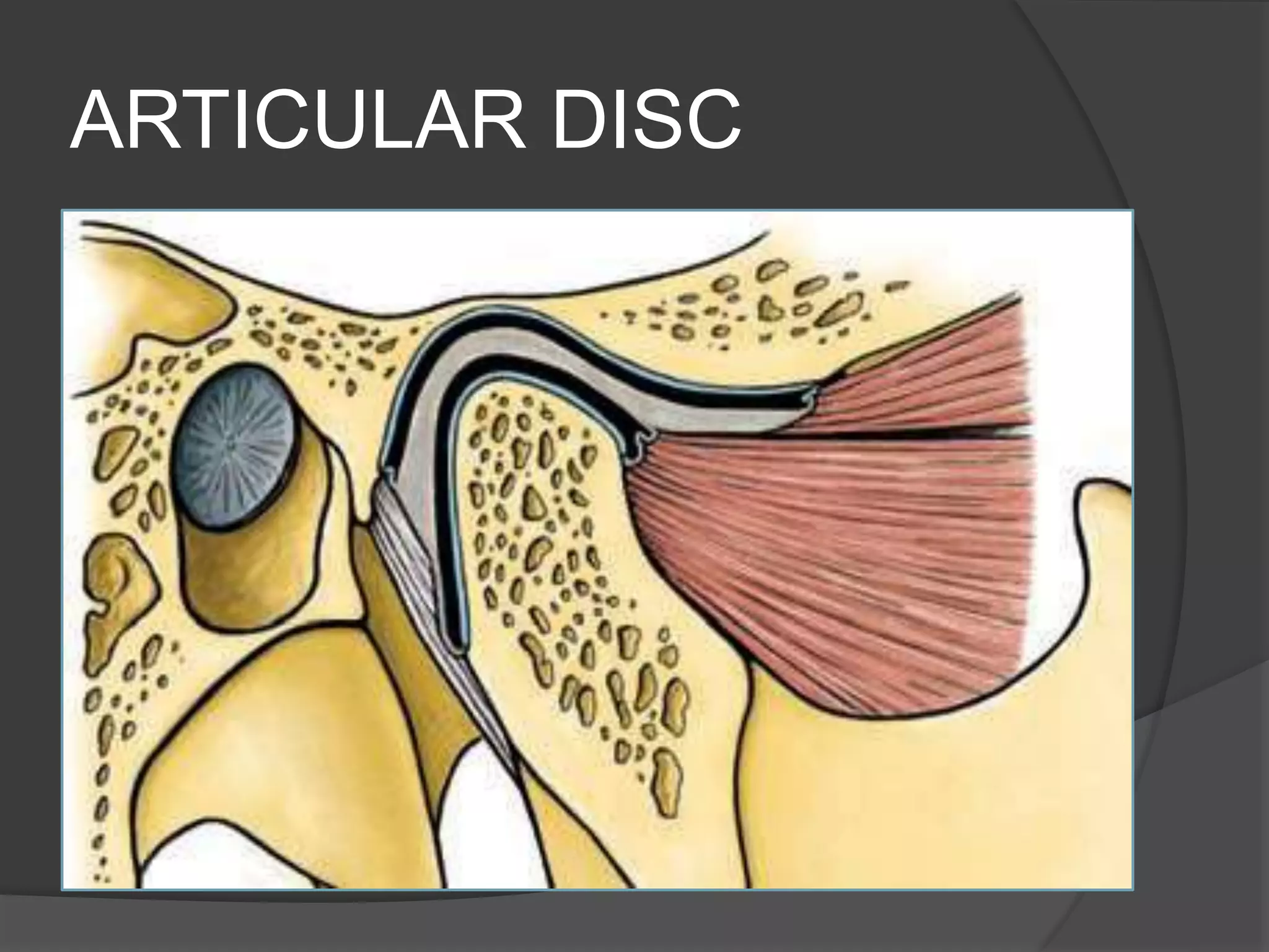 Anatomy of Temporomandibular Joint | PPSX