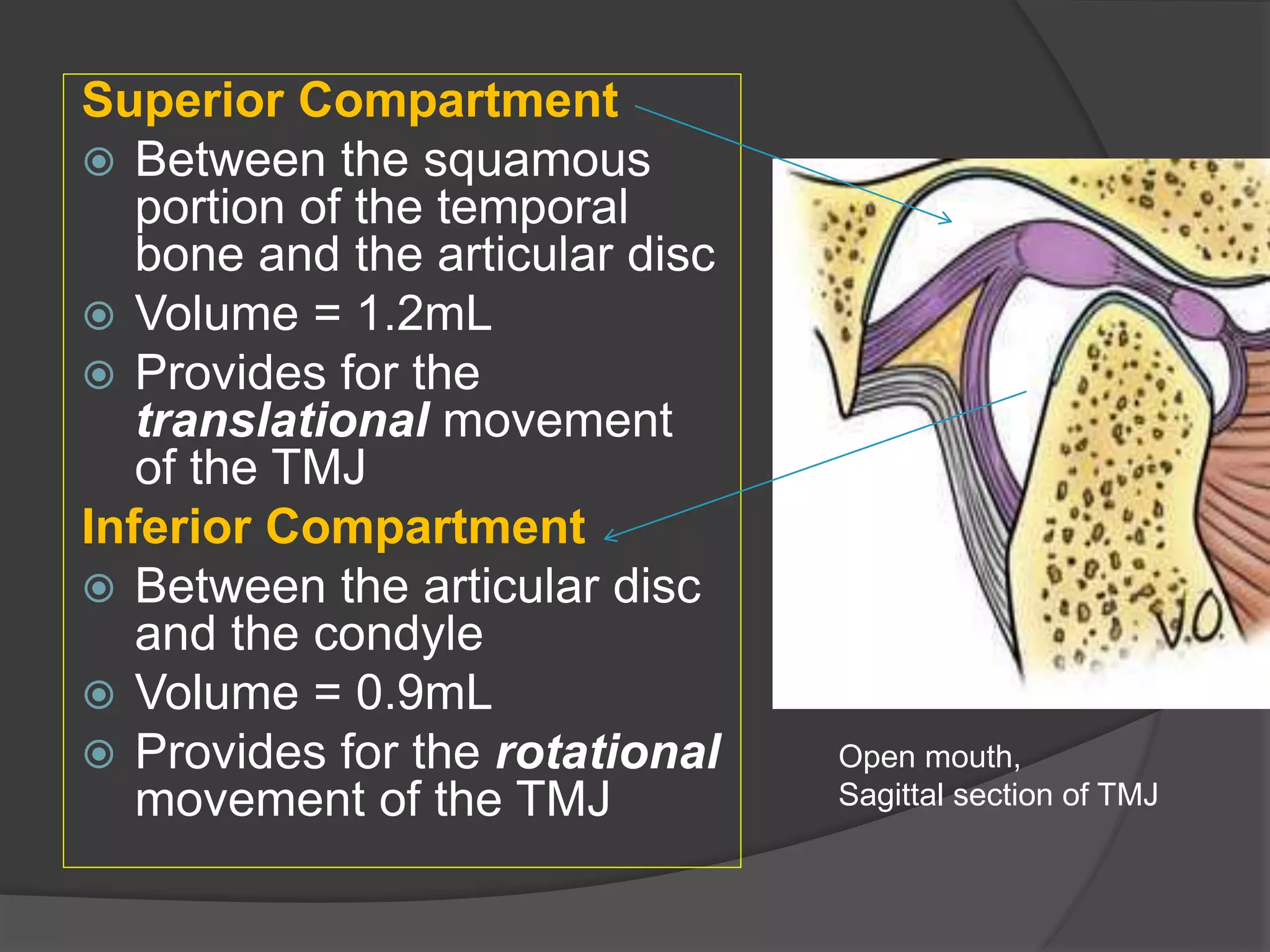 Anatomy of Temporomandibular Joint | PPSX